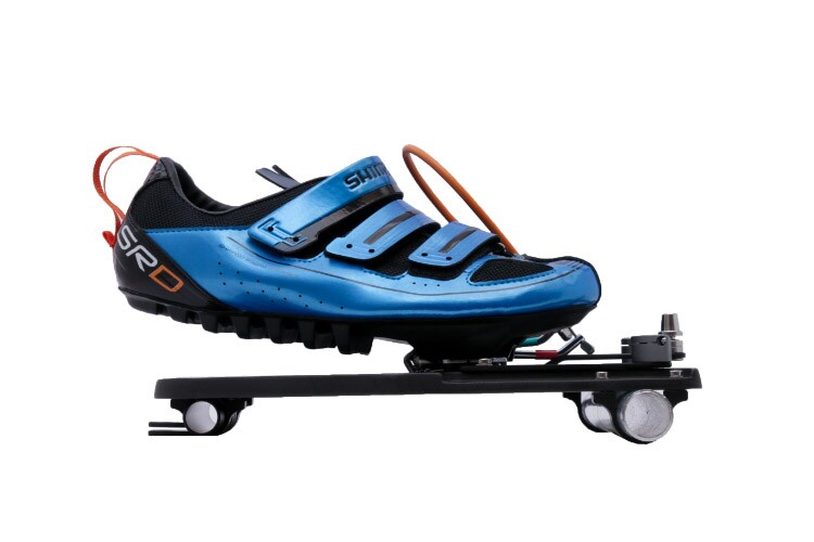 Shimano Rowing Logo Thoughts? : R/Rowing